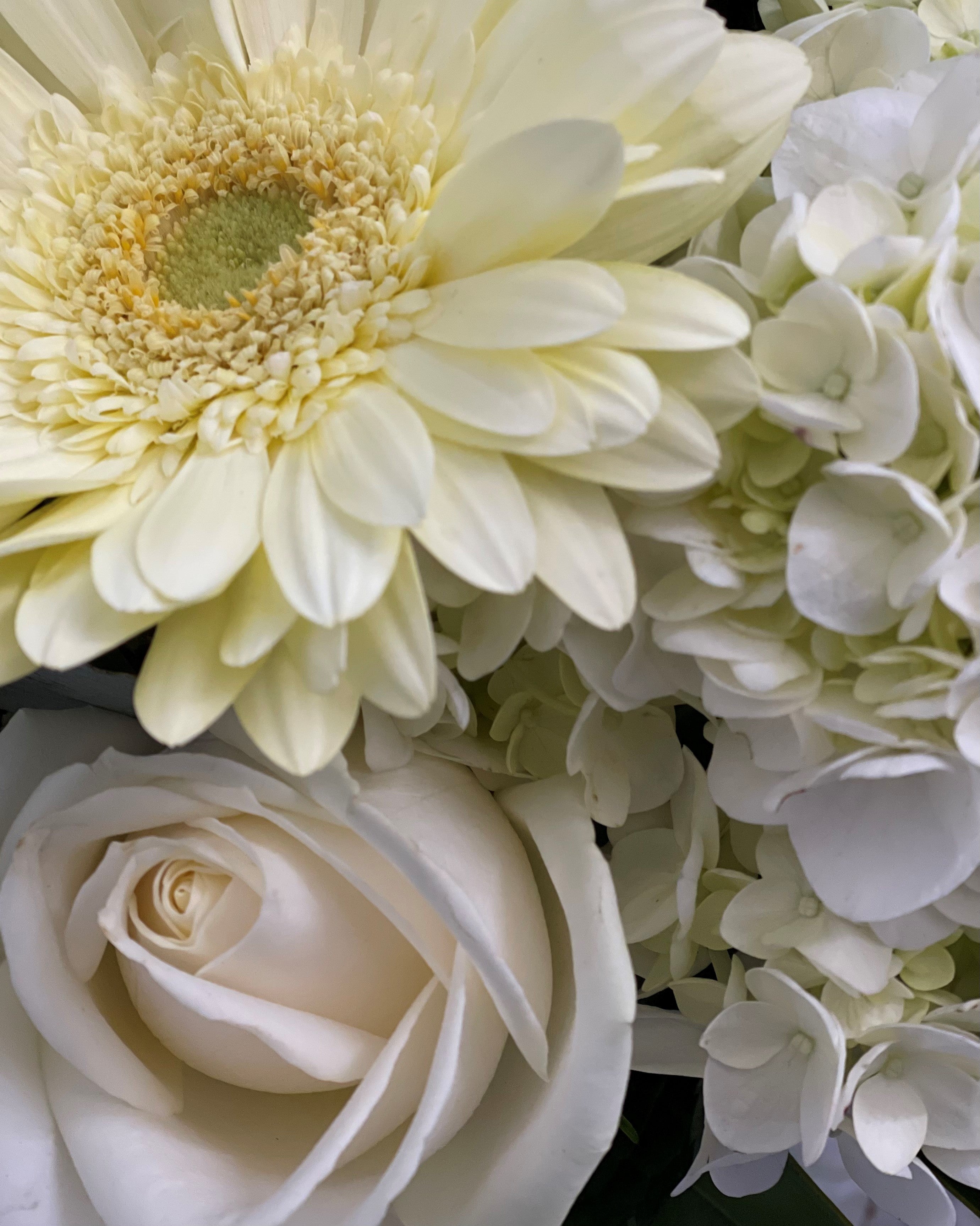 Flowers Et Cetera | Hutt Valley & Greater Wellington – Flowers et cetera